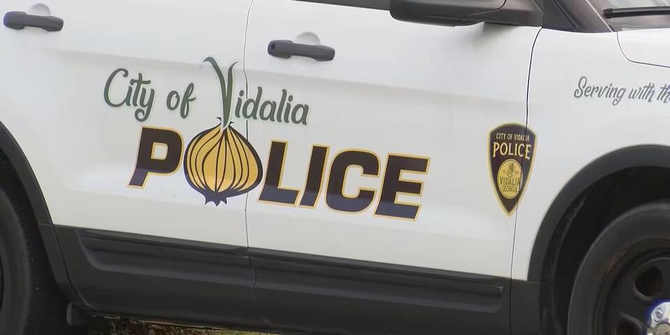 Vidalia Police aid U.S. Marshals with fugitive arrest operation - NewsBreak