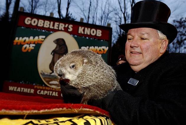 The Science of Groundhog Day and Why Phil Fails Most of the Time ...