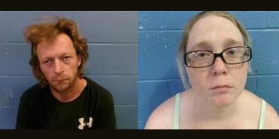 Couple arrested after police find dozens of dead cats in freezer ...