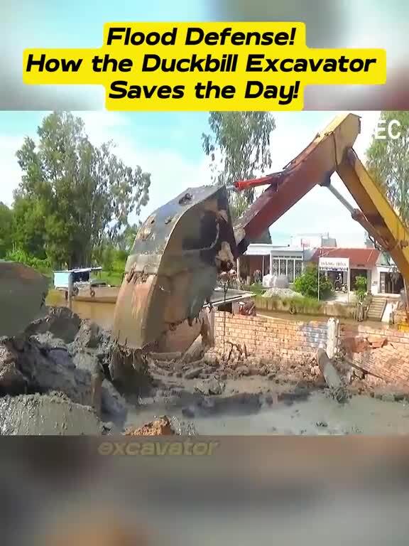 Flood Defense!How the Duckbill ExcavatorSaves the Day! - NewsBreak