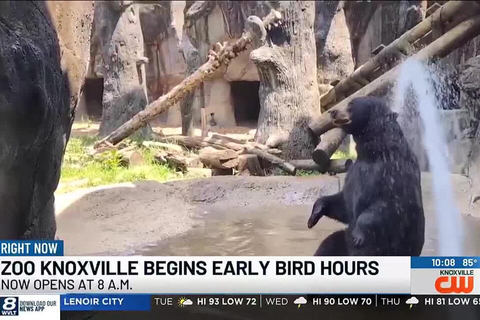 How do Zoo Knoxville animals beat the heat? - NewsBreak