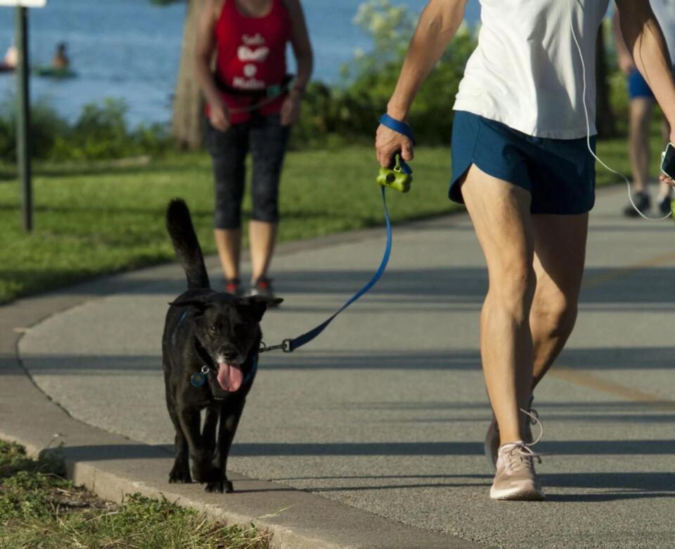Regular exercise should be “critical” component of any attempt to lose ...