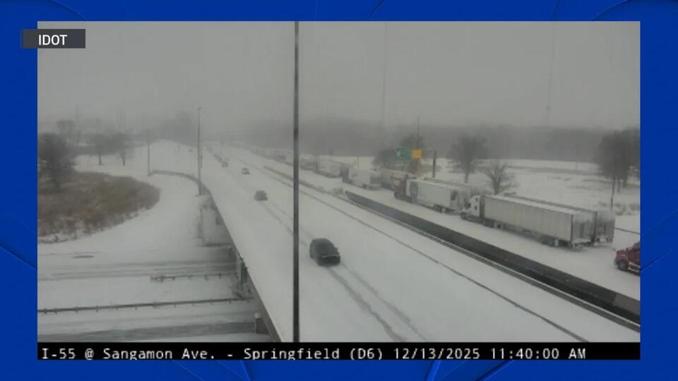 Interstate 55 closed downstate after deadly pileup during heavy snow ...