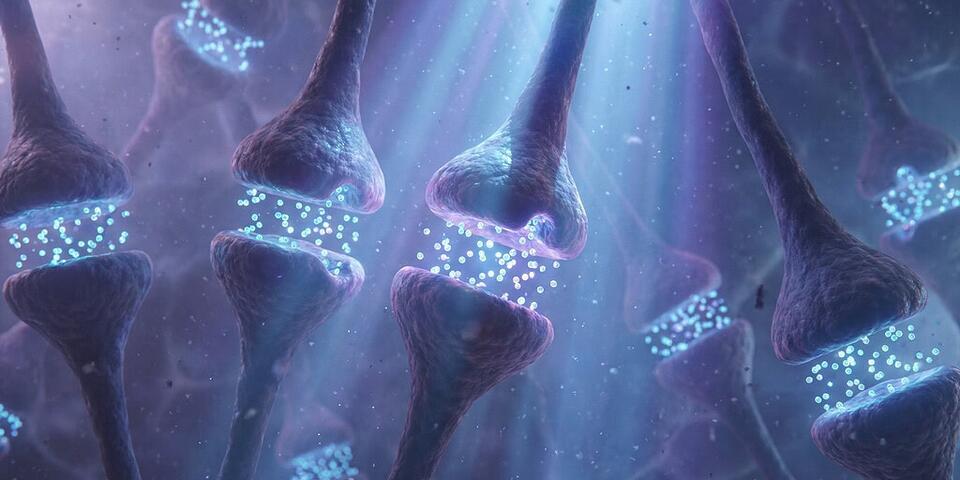 AI identifies behavioral traits that predict alcohol preference during ...