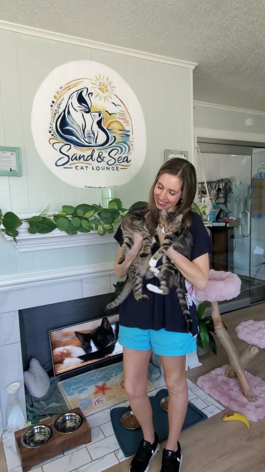 Meet Adoptable Cats Like Louie and George at Virginia Beach’s First ...