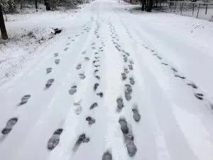 Many area schools on two-hour delays or closed - NewsBreak