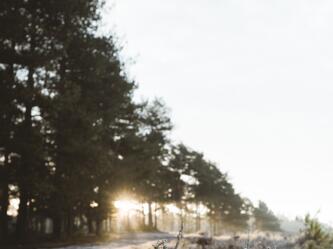 Waycross Weather Forecast 2021-02-21