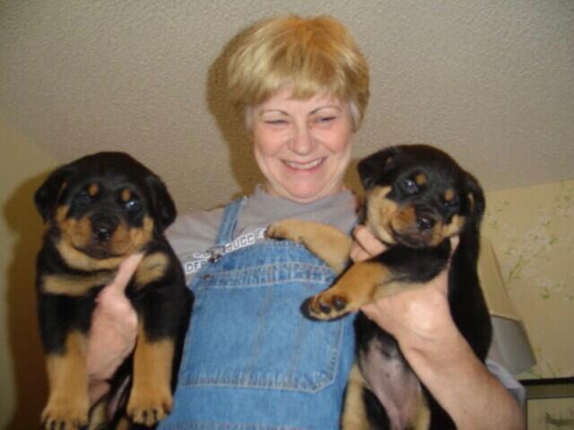 Community remembers Verdigris police officer Karen Greene - NewsBreak