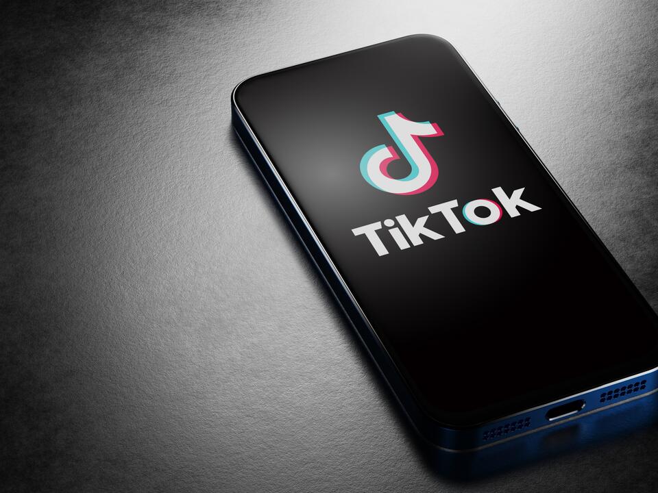 Morally Repugnant TikTok Trends We Absolutely Hate