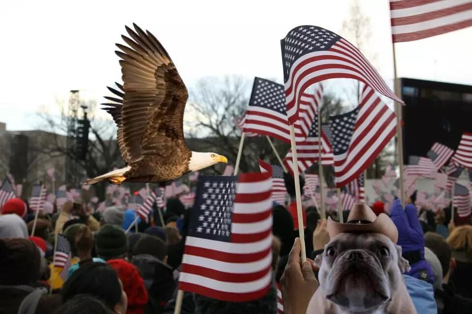 ‘MERICA! Minnesota Tops the Nation in Freedom Raptor Statistic - NewsBreak