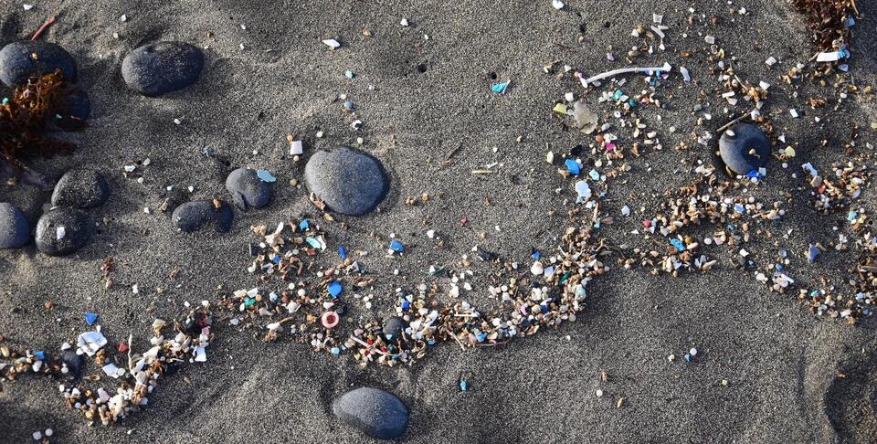 COURTHOUSE NEWS: Microplastics invade the gut and change its chemistry ...