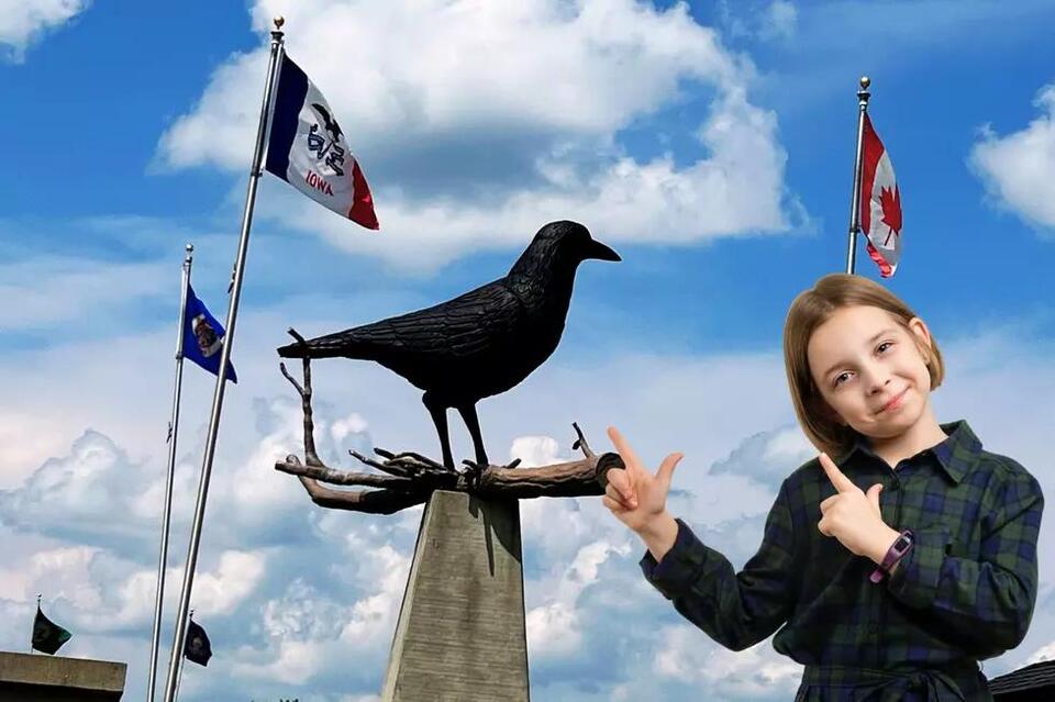 Where In Minnesota Do You Find The World’s Largest Crow? - NewsBreak