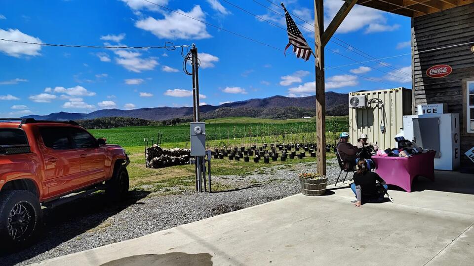 This Family-Owned Tennessee Farm Is The Place To Find Fresh Homegrown ...