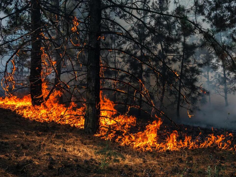 Union Pass closes due to Pack Trail Fire growth