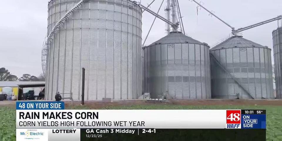 Farmer says perfect timing of rain produced high corn yields in 2025 ...