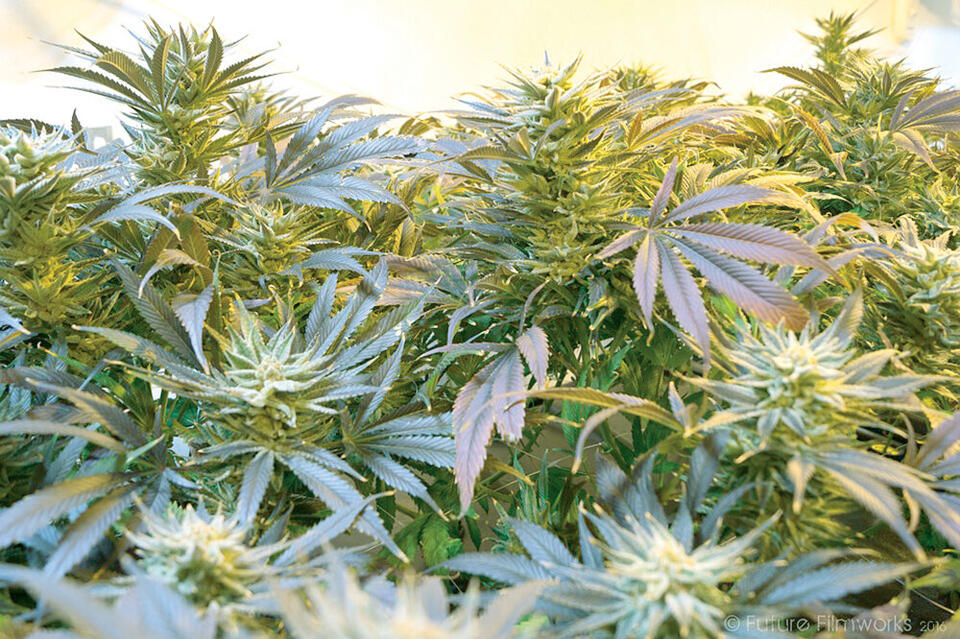 Pothole Tax Unleashed: Judge Denies Injunction, 24% Levy is Coming ...