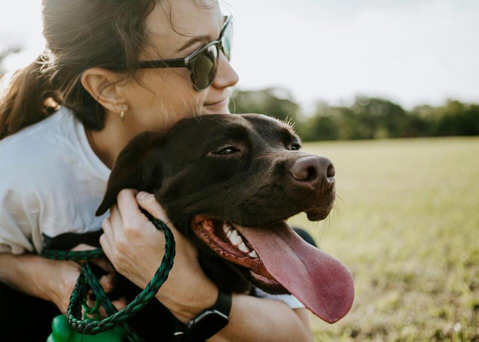 5 Pet Tax Deductions New Yorkers Could Claim in 2026 - NewsBreak