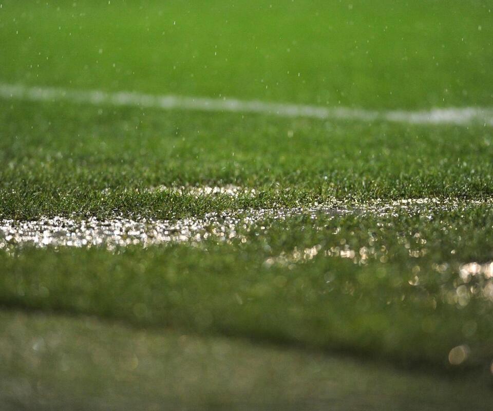 How to create a rain garden in 4 simple steps – for a sustainable and ...