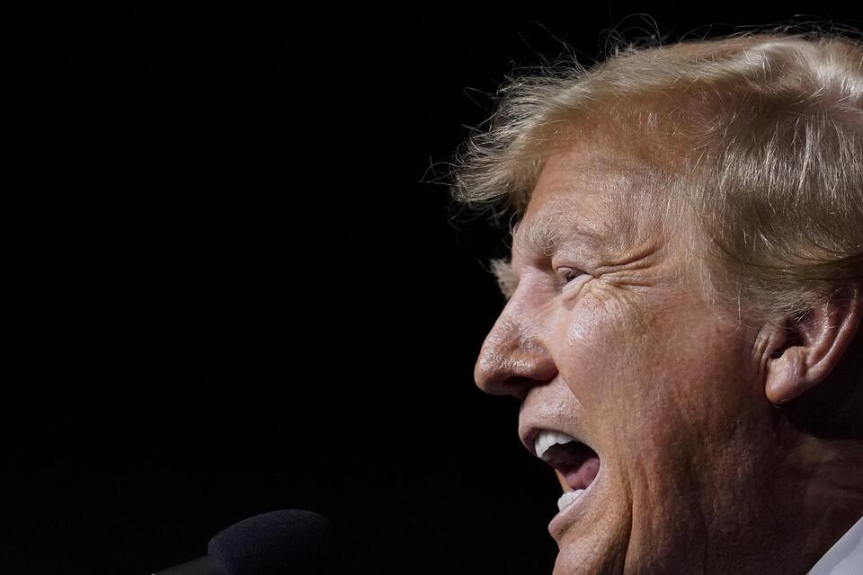 ‘Trump Knows What He’s Doing’: The Creator of Godwin’s Law Says the ...