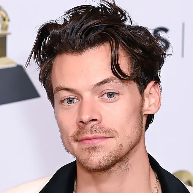 Fans Call Harry Styles 'Greedy' And Are Furious Over Expensive Ticket ...