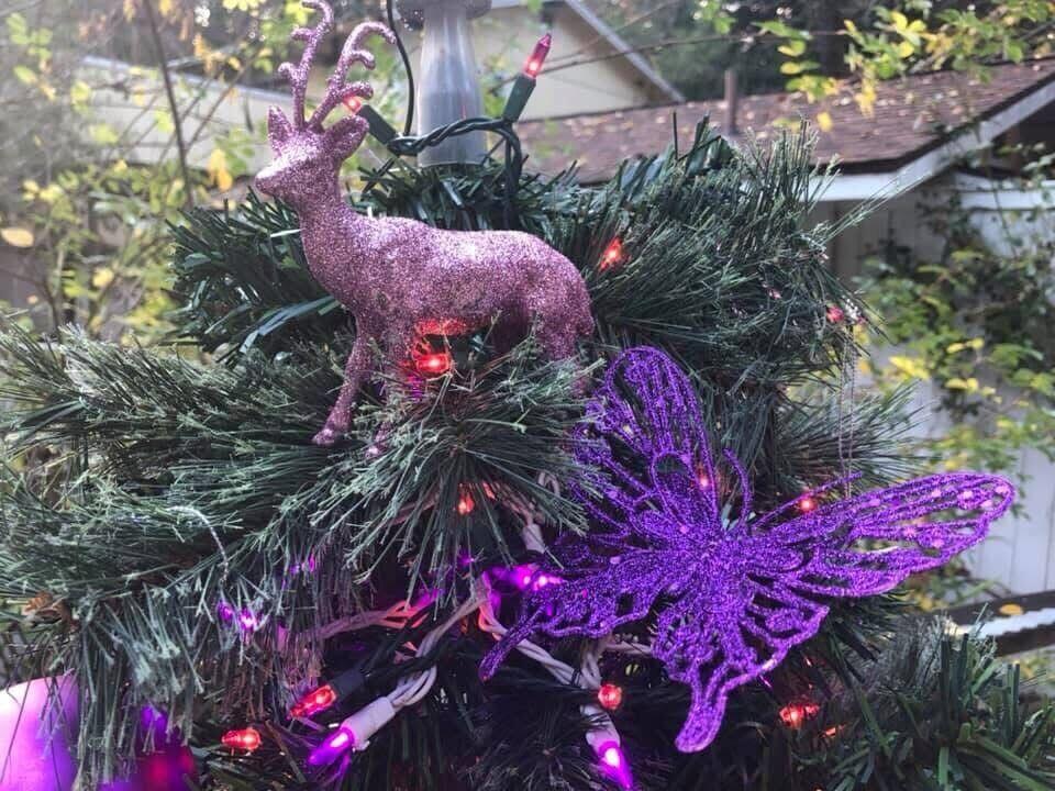 ‘We still see you’: Local nurse decorates Christmas trees for mental ...