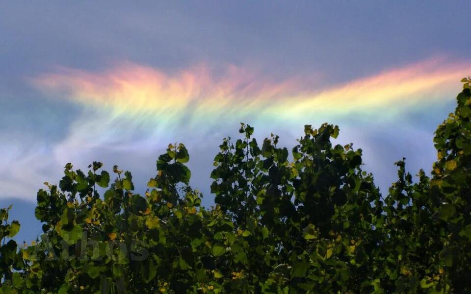 The Deadly Beauty of Fire Rainbows Explained - NewsBreak