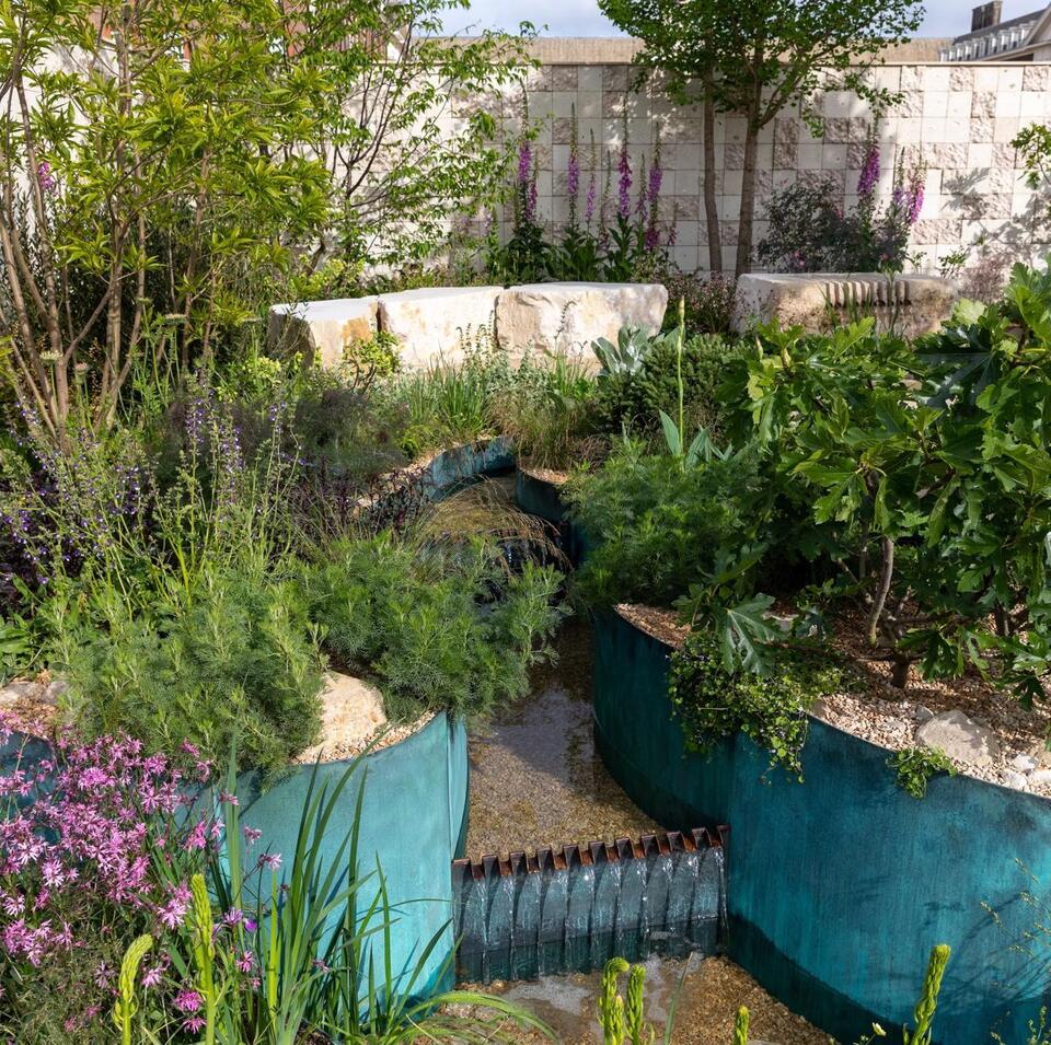 See all the medal winners from the RHS Chelsea Flower Show 2026 - NewsBreak