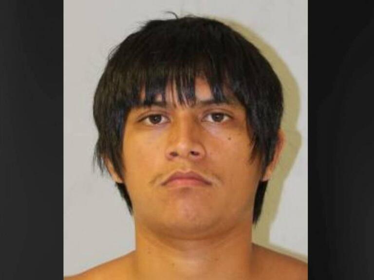 Video of man beating dog circulating on social media leads to arrest of ...