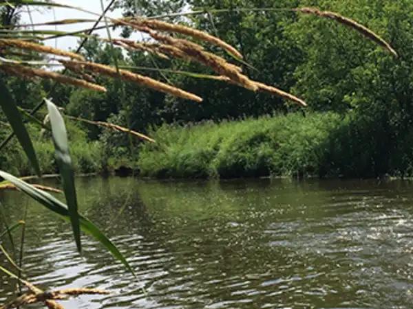 DNR sets limit on diverting water from central Minnesota trout stream