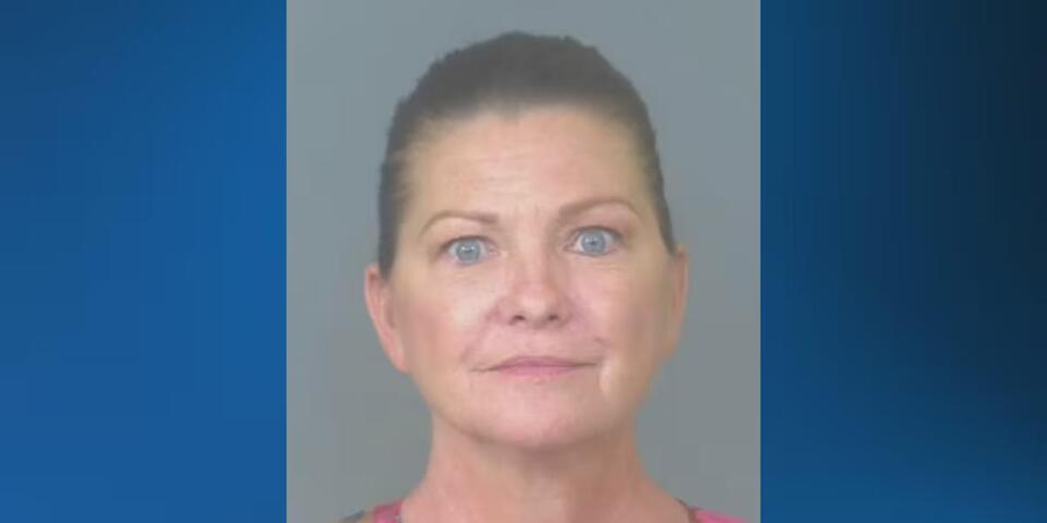 Teresa Zeppi found guilty in 2020 hit-and-run - NewsBreak