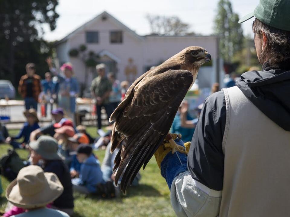 Point Reyes Station: Birds Of A Feather Flock Together At Birding Festival