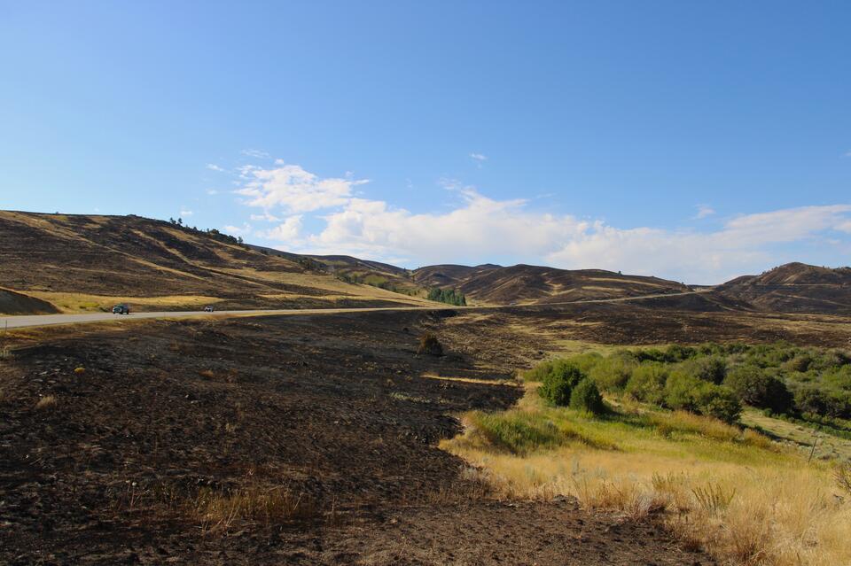 'Too much trauma': McAllister fire had residents on edge; 3 blazes ...