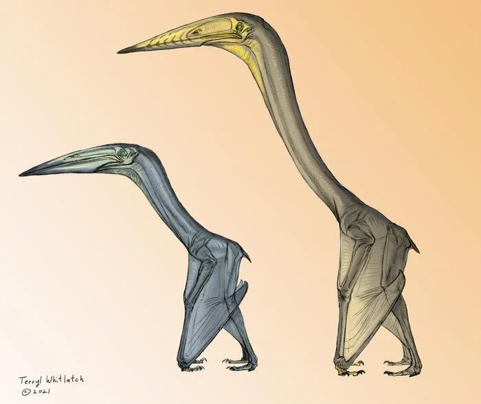 New Pterosaur Fossils Reveal Diverse Flight Styles in Giant Flying ...