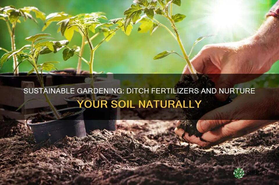 Sustainable Gardening: Ditch Fertilizers And Nurture Your Soil ...
