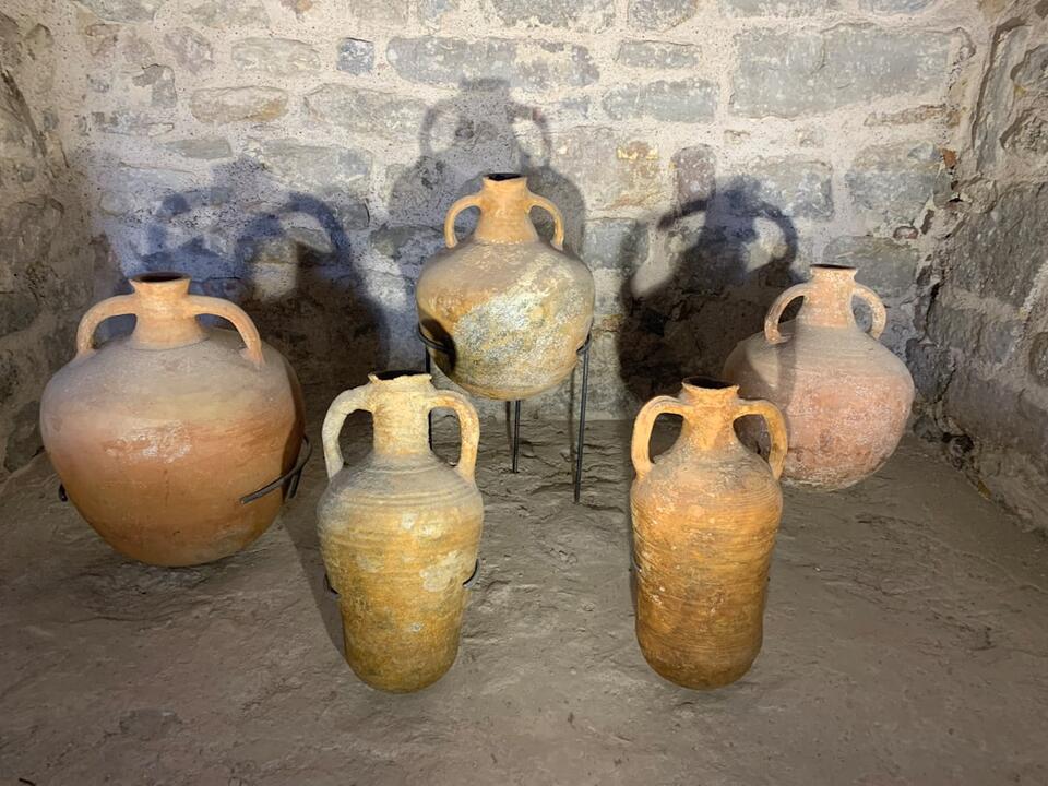 The Ancient Cookbook: Recipes from Pompeii Kitchens - NewsBreak