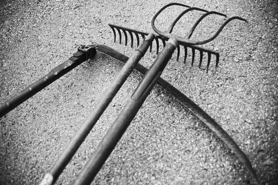 My Father’s Scythe and Other Poems by James Lowell - NewsBreak