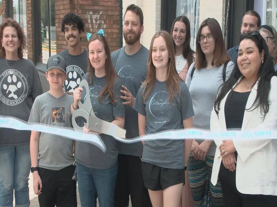 New cat cafe opens in 12 Points - NewsBreak
