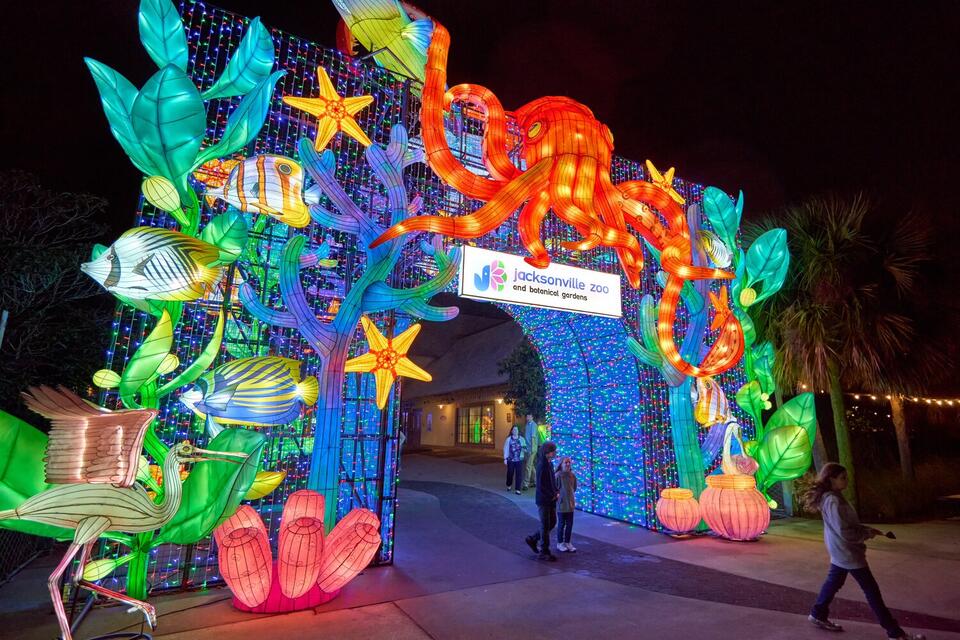 Jacksonville Zoo presents dazzling ‘Colors of the Wild’ experience ...