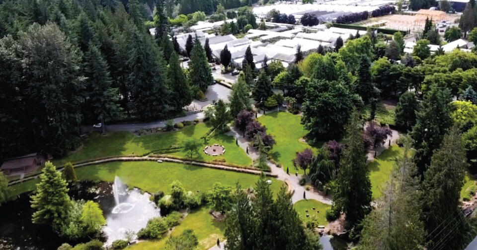 No County plot to shut down Flower World: Judge rules nursery skipped ...