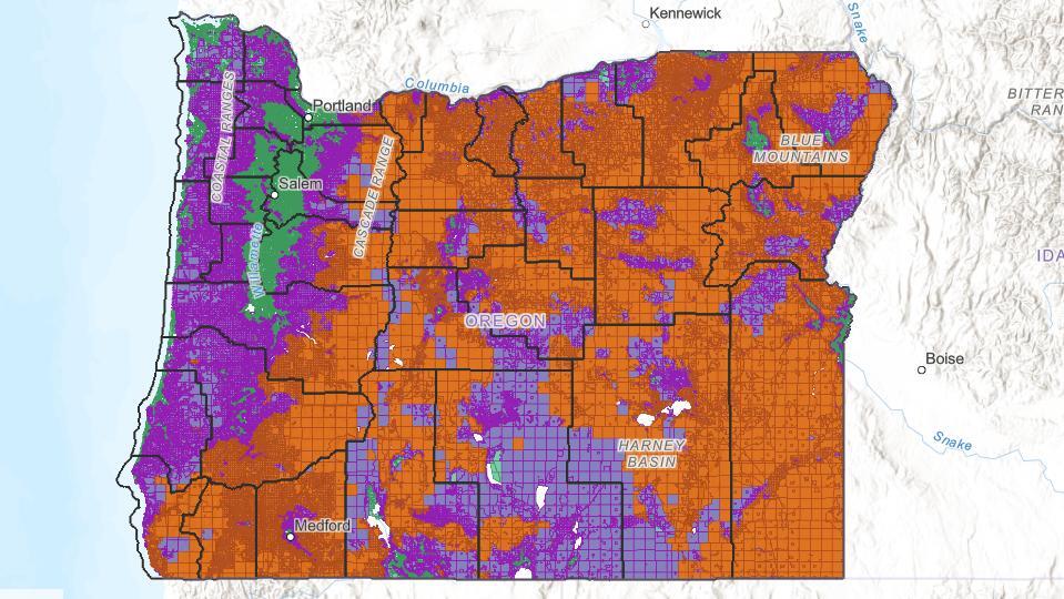 Lawsuit filed to invalidate Oregon wildfire hazard map - NewsBreak