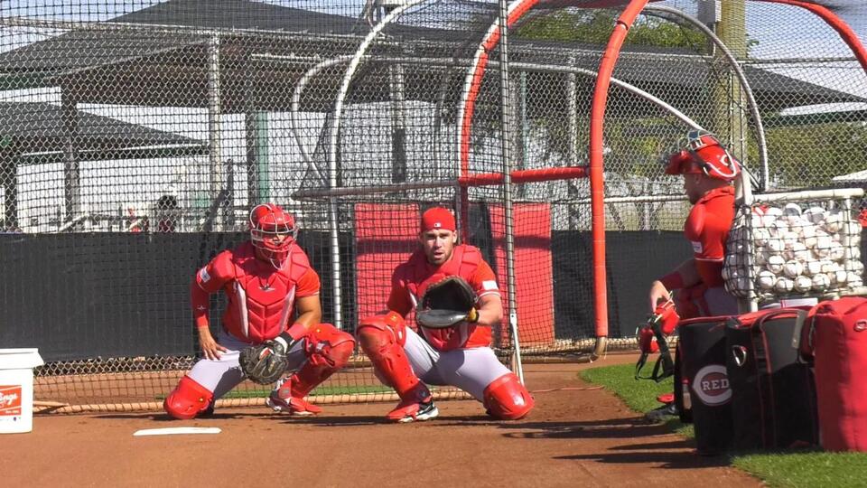 See how the Reds catchers are using a stuffed animal in spring training ...