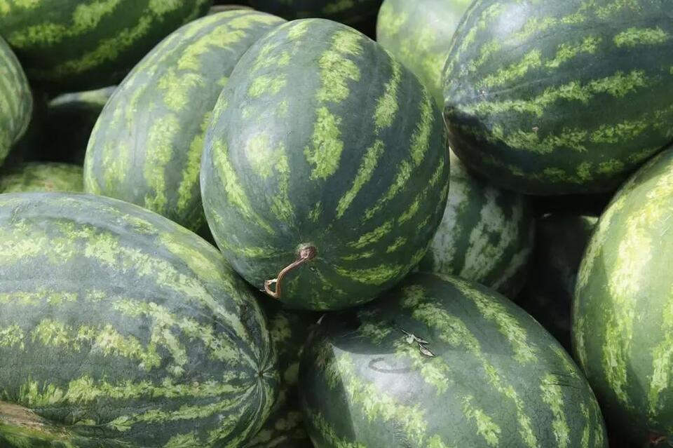 The Full-Proof Way to Pick a Perfectly Ripe Watermelon for Your ...