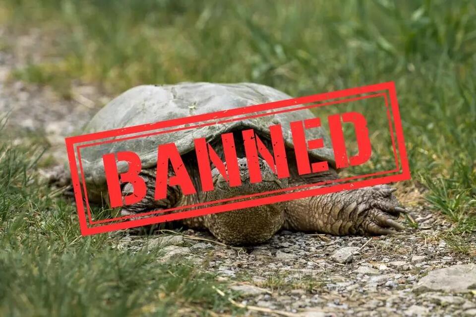 15 Things You’re Banned From Eating In Wisconsin - NewsBreak