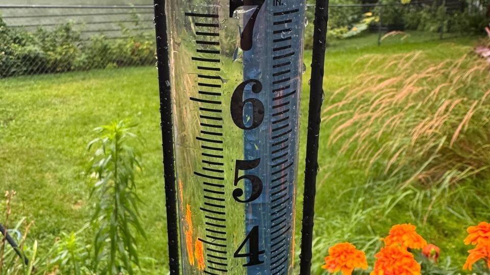 Backyard Rain Gauge in Cedarburg Reports Over 7" in 24 hours: Cedar Creek at Over 8 feet - NewsBreak