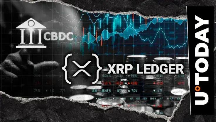 Former Ripple Exec Breaks Silence on CBDC Experiment Impact on XRP Ledger - NewsBreak