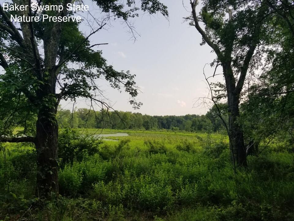 Baker Swamp in Jackson County Named Ohio’s 150th State Nature Preserve ...