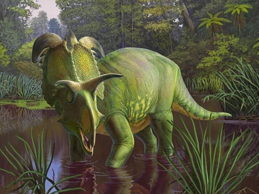 Newly Discovered Dinosaur in Montana Had Horns Resembling Blades of Loki