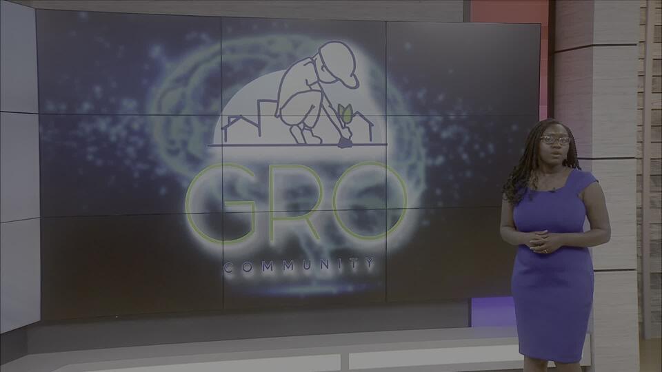 GRO Community transforms lives with mental health aid for Black boys ...