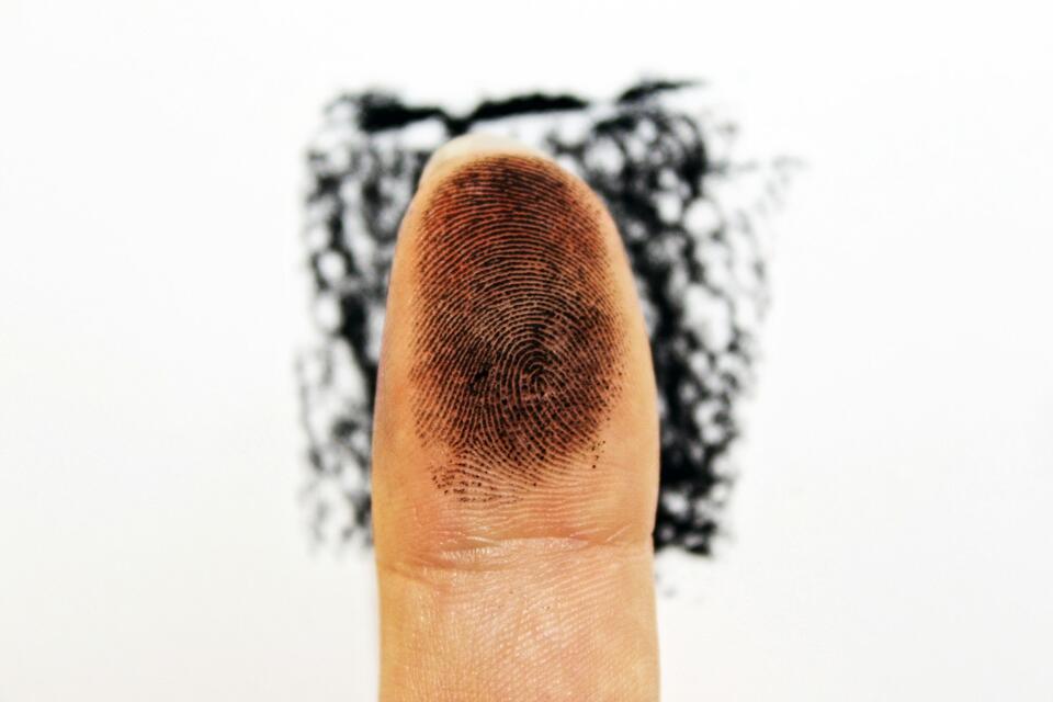 What Makes Our Fingerprints Unique? - NewsBreak