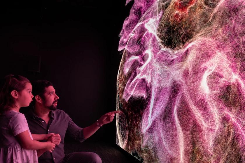 The desert was scanned daily for 2 years. The resulting Phoenix exhibit ...